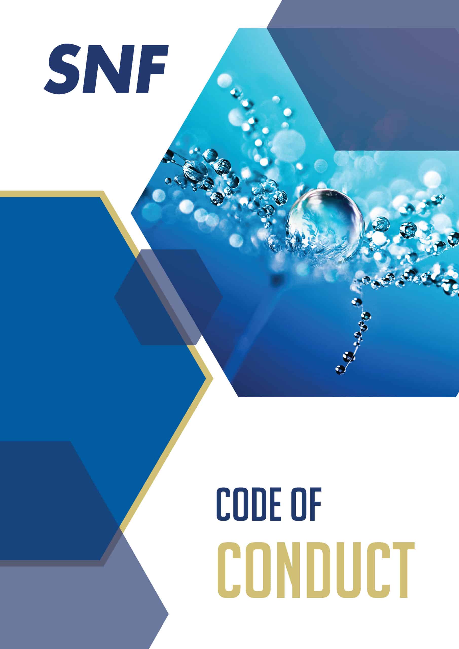 SNF - Championing Social Engagement & Positive Impact